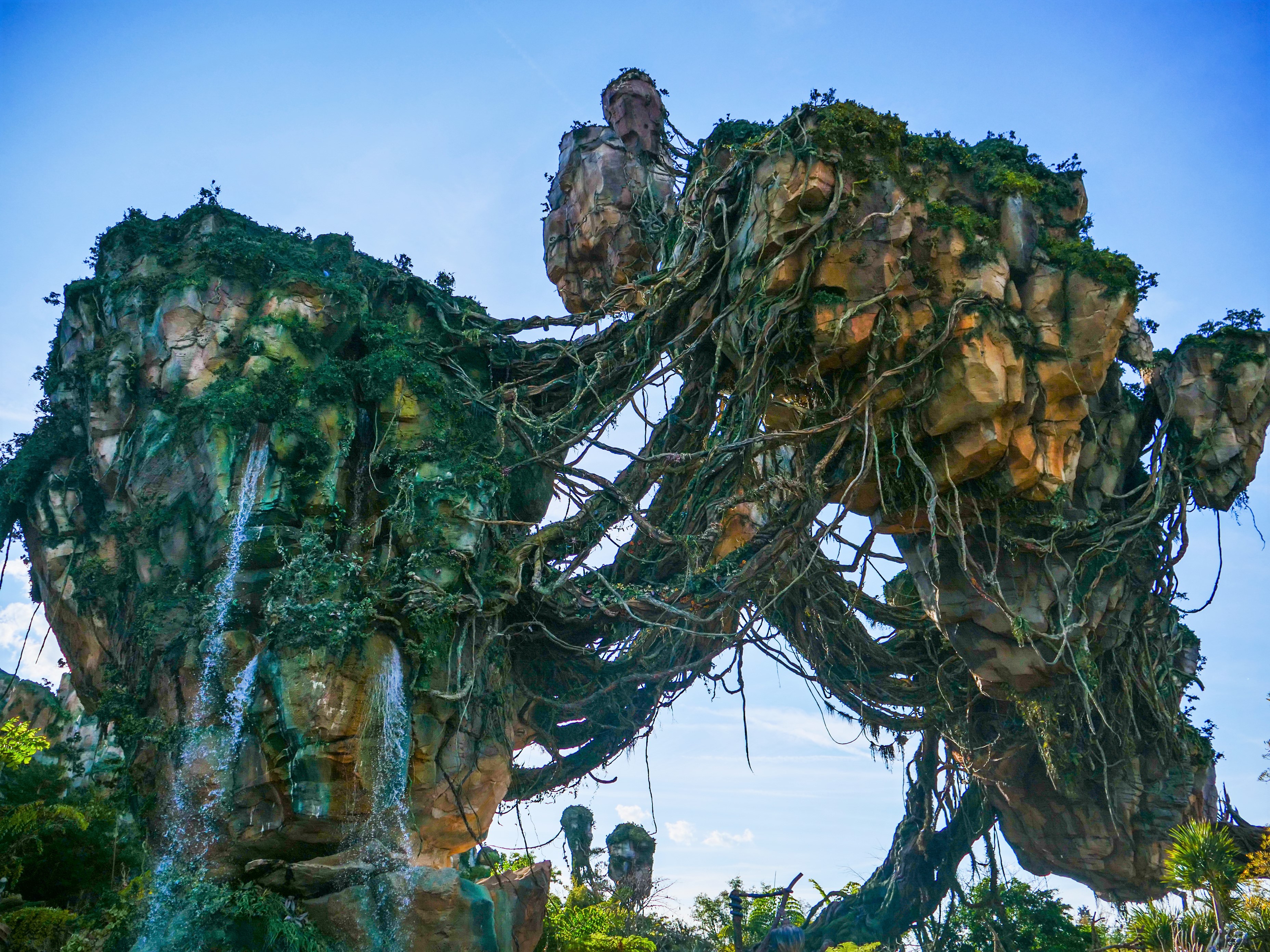 PHOTO REPORT: Disney's Animal Kingdom 3/15/20 (Final Night Before COVID ...