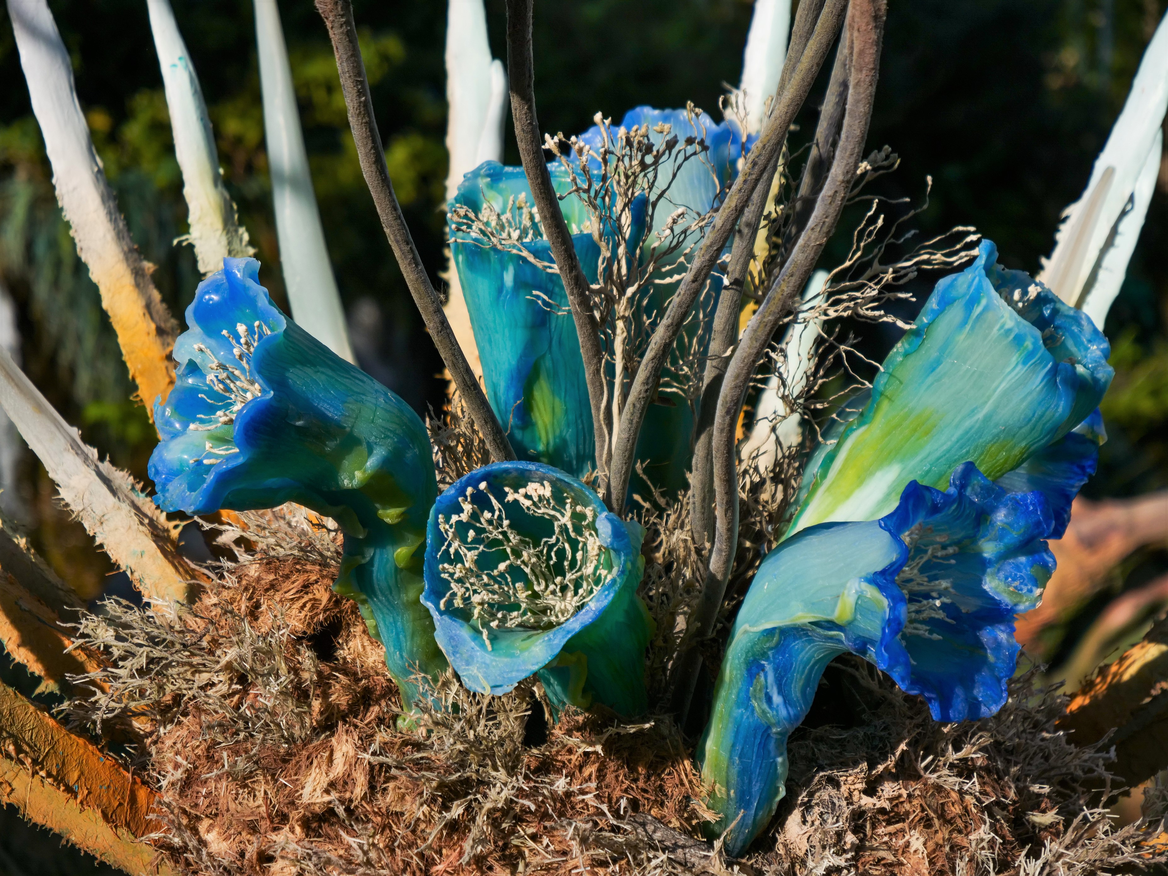 PHOTO REPORT: Disney's Animal Kingdom 3/15/20 (Final Night Before COVID ...